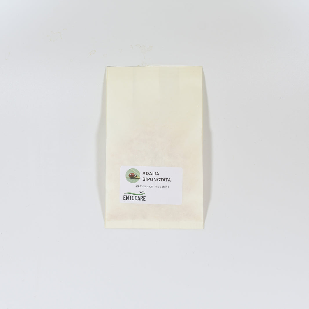 ZAKELIJK COLLECTION – Entocare