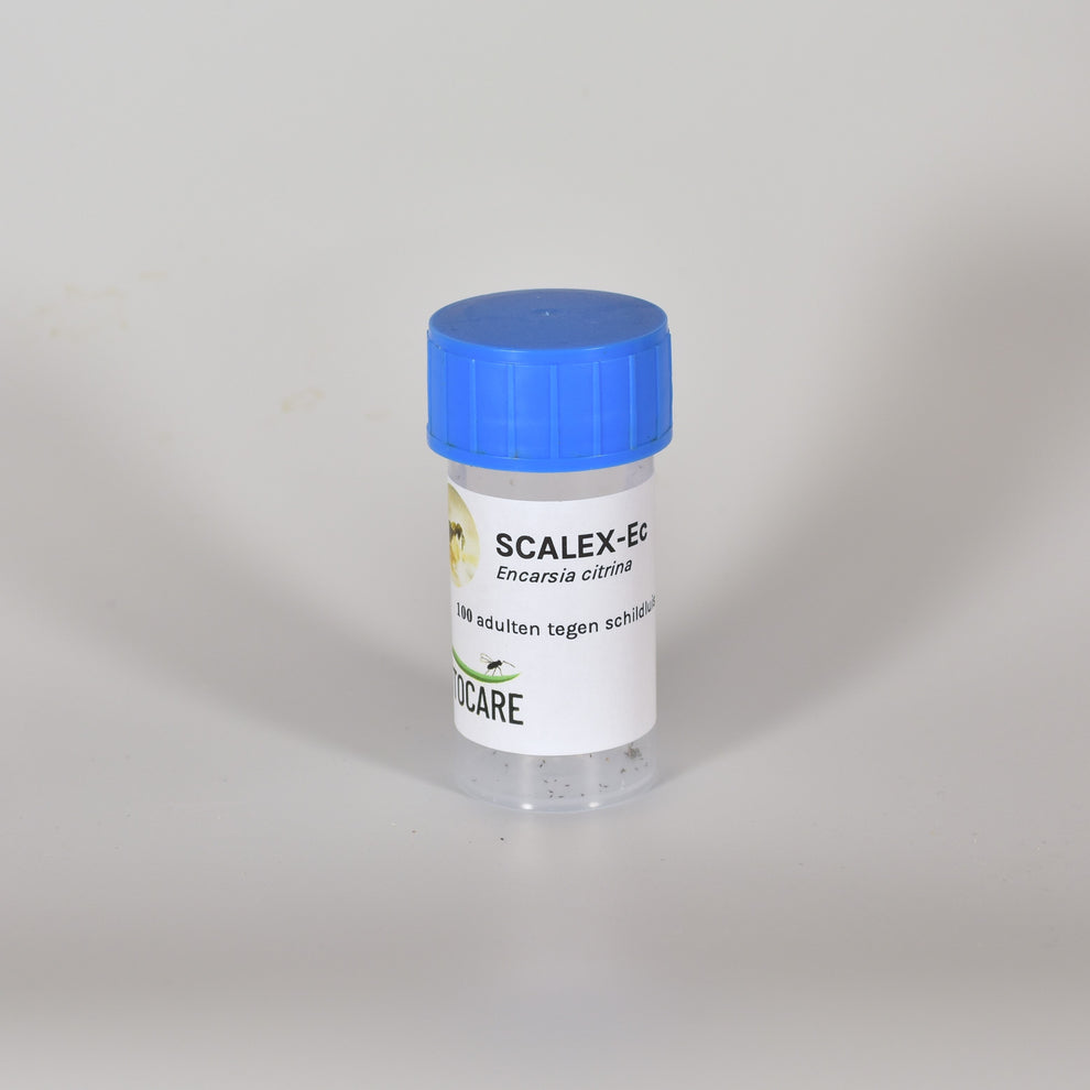 SCALEX-Ec - 100 tegen schildluis – Entocare